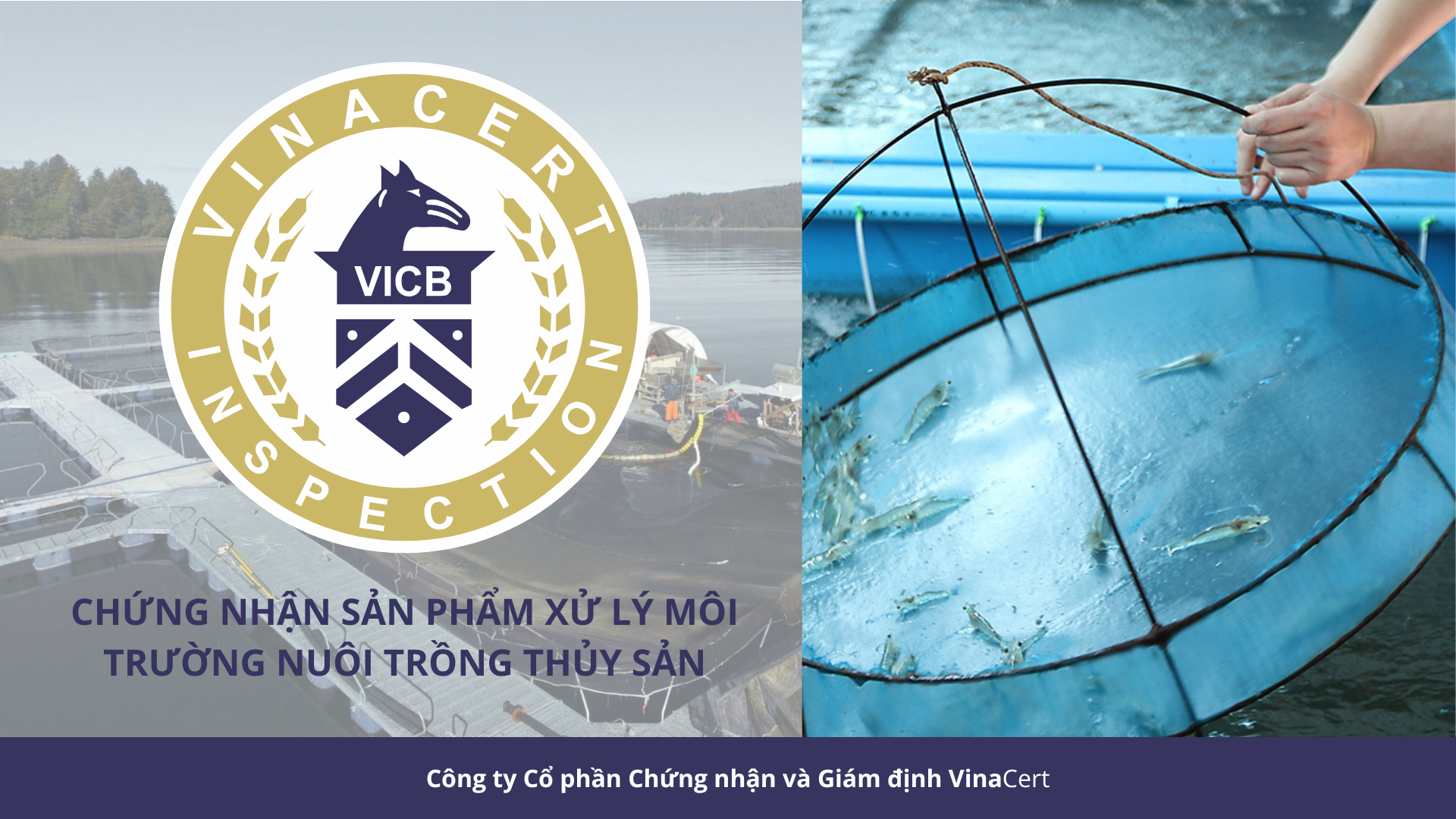 VinaCert